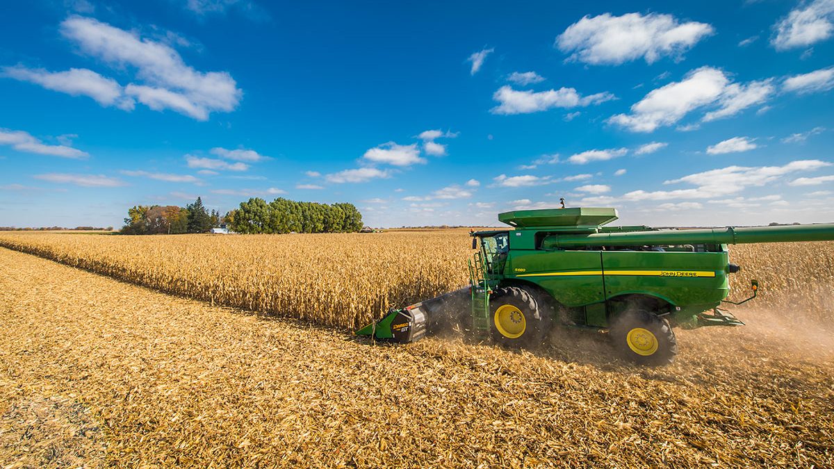 Portfolio – Farm Roots & Chore Boots